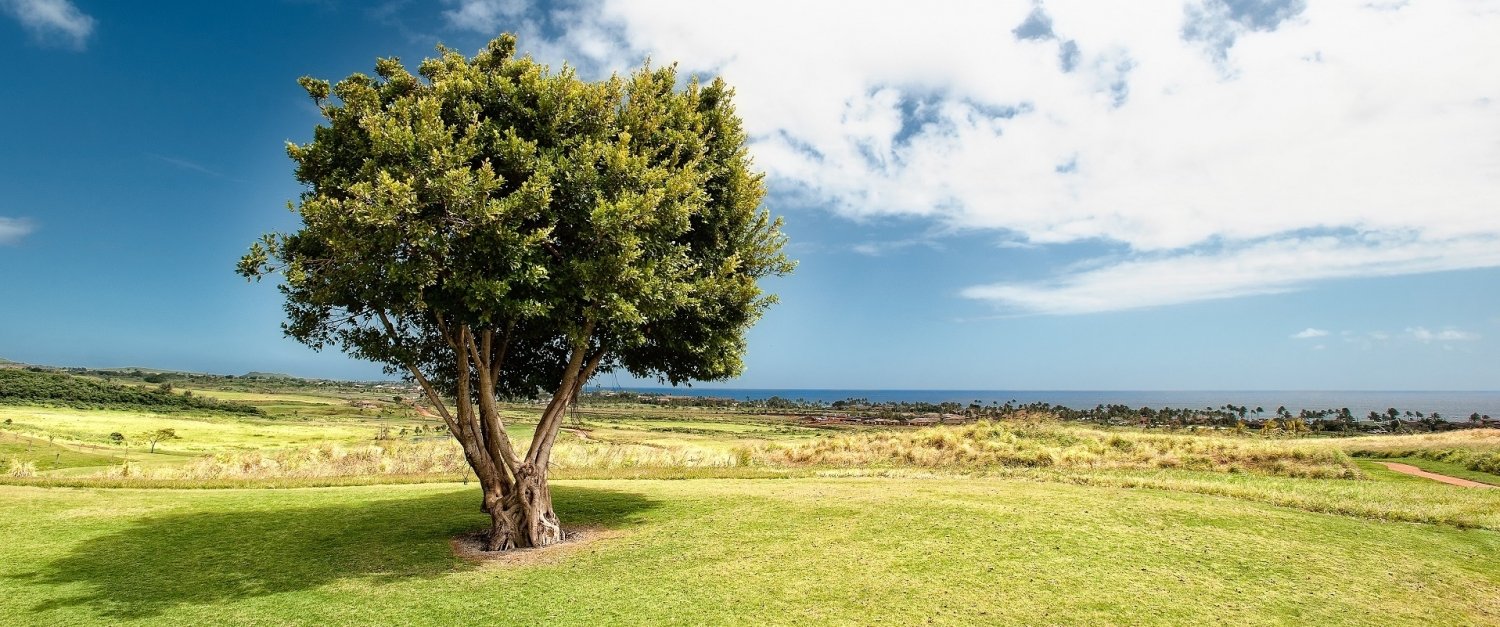 Περιβαλλοντικές Μελέτες & Διαχείριση Αποβλήτων | INTERGEO Hellas